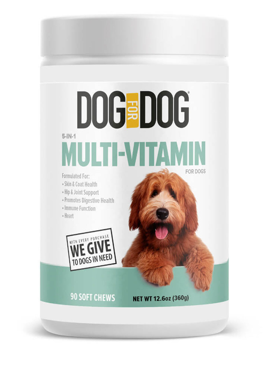 Shop Online Daily Multivitamin Soft Chews Supplement For Dog
