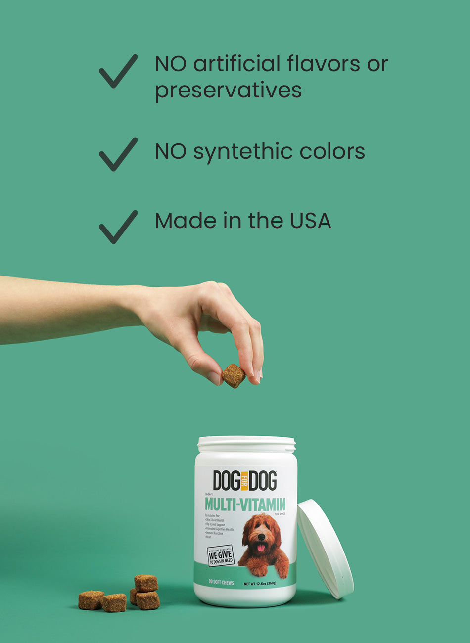 Shop Online Daily Multivitamin Soft Chews Supplement For Dog